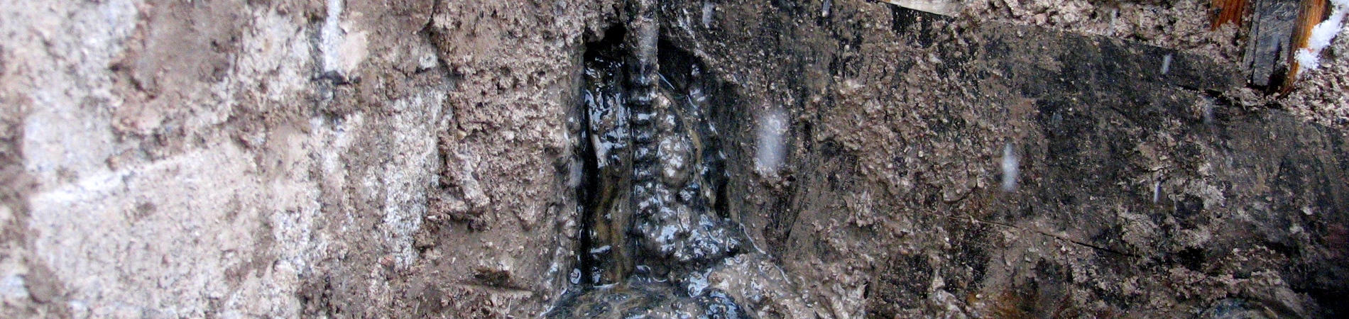 Wasatch Environmental