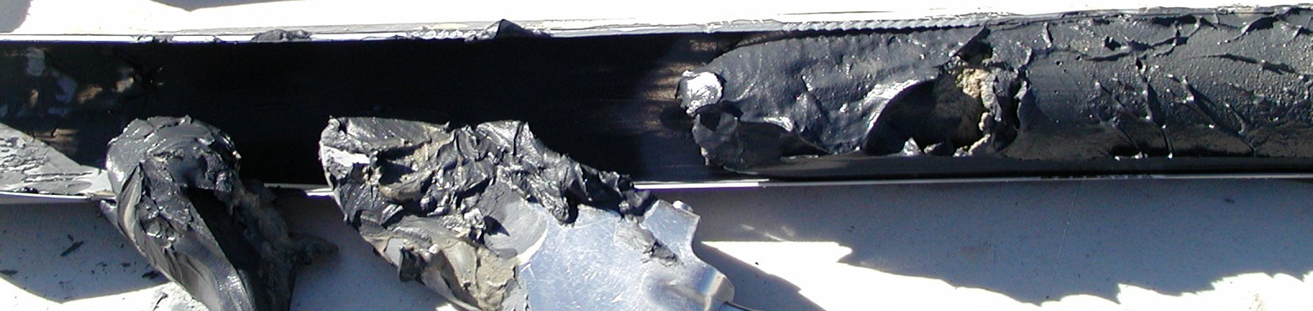 Wasatch Environmental