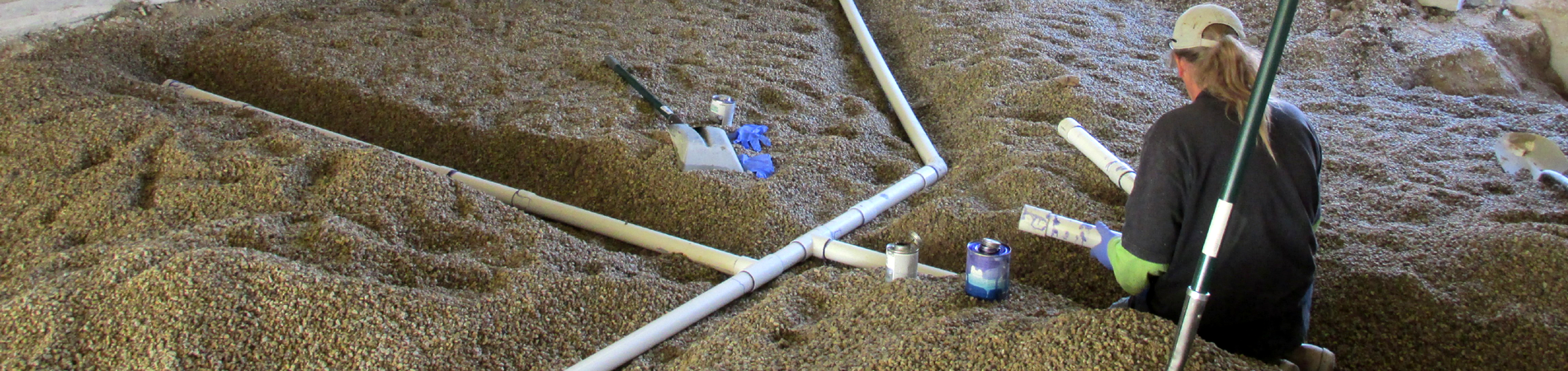 Wasatch Environmental