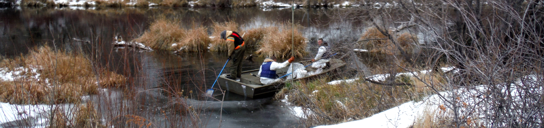 Wasatch Environmental