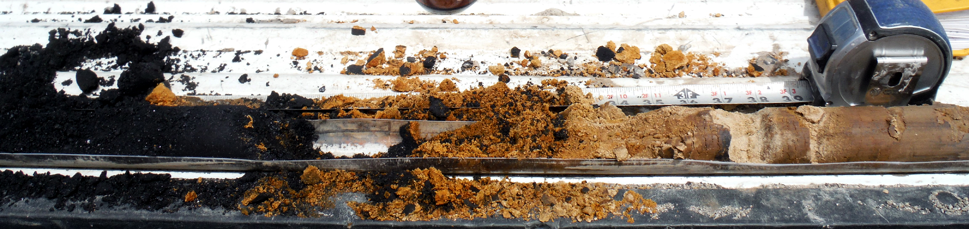 Wasatch Environmental