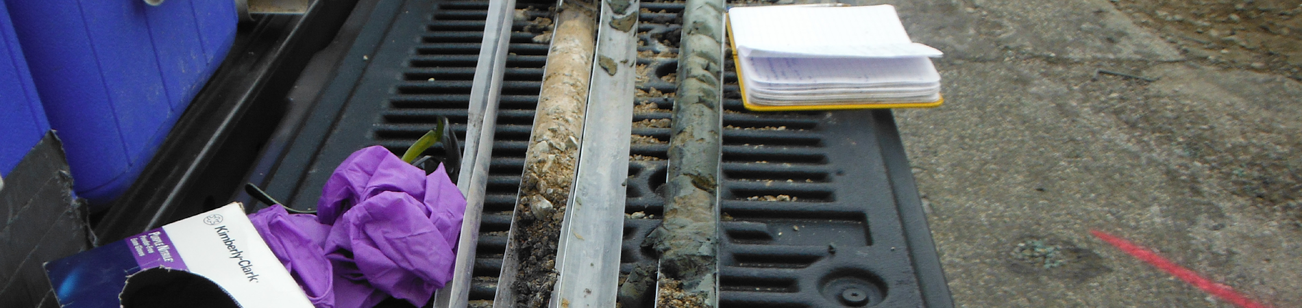 Wasatch Environmental